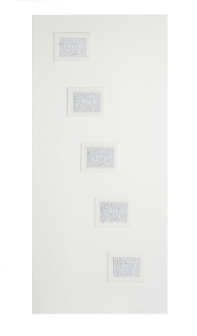 Textured Glass Rooftop Doorlite - Trimlite Solution Series