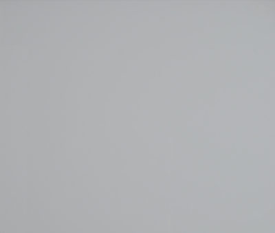 Diffused White Laminate Interior French Door - Trimlite